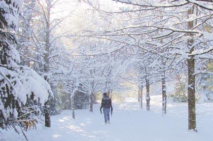 A walk in the snow | Westside Seattle