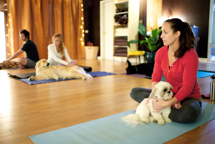 SLIDESHOW: West Seattle Yoga goes to the dogs | Westside Seattle