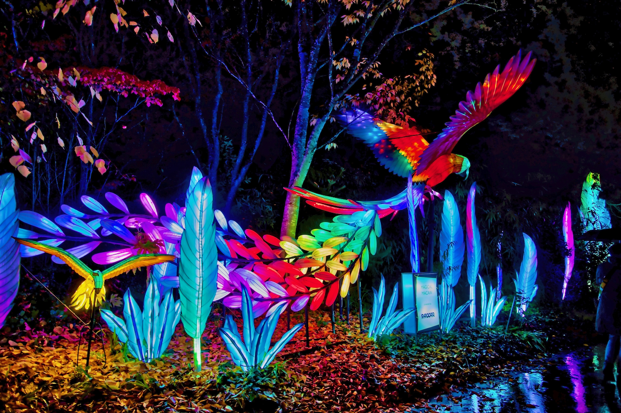 Wild Lanterns is back at Woodland Park Zoo with more animals, more ...